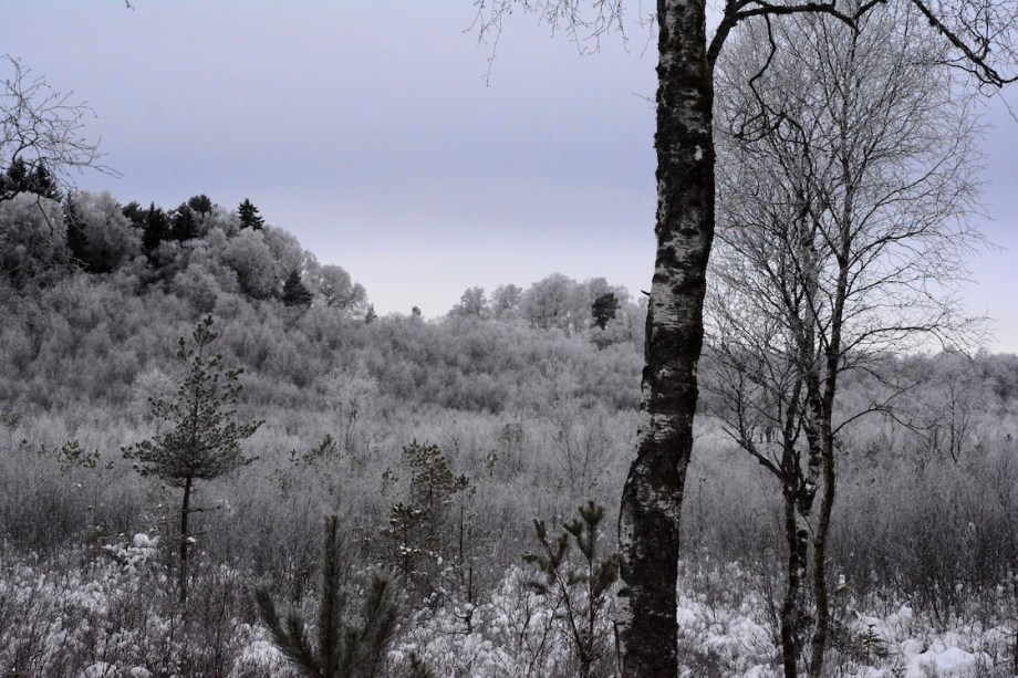 Finally, it is getting less cold! – The Cottage by the crane lake.